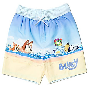 Bluey Mom Dad Bingo Toddler Boys Rash Guard and Swim Trunks Outfit Set Multi 2T