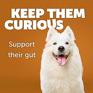 Protexin Daily Care Gut+ Wellness, 60 probiotic and postbiotic Dog Supplement Chews – Duck and Carrot Flavored