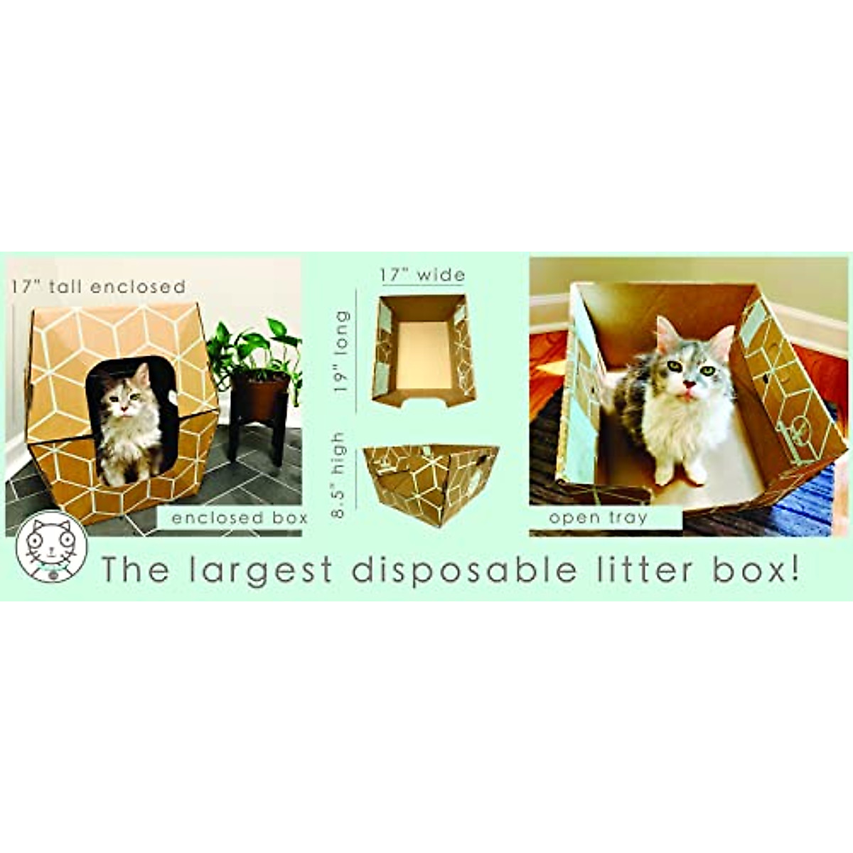 Cats Desire Disposable Litter Boxes 10 Trays-8.5 inches Tall Each Tray