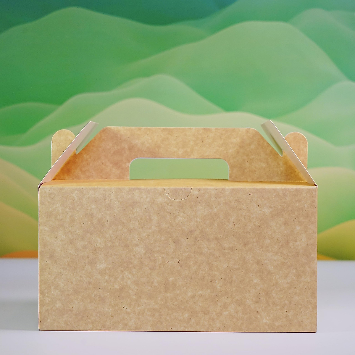 PandaPanda gable boxes (50 pcs) with handle (8.3 * 5.1 * 4.5 inches) for foods, gifts and party favors (100 oz) environment friendly