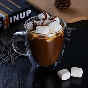 CNGLASS Large Double Wall Glass Coffee Mug 17 oz,Insulated Glass Coffee Cups with Handle,Set of 2