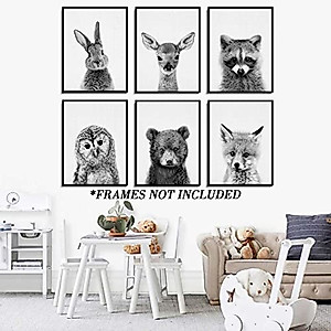 EPHANY Black and White Wall Art, Baby Animal Posters and Prints, Safari Bunny Prints, Nursery Bear Wall Art, Owl Print Wall Art Nordic Picture Kids Room Decoration (YMX017,8"x10"(20x25cm))
