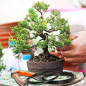 5 Roll Aluminum Bonsai Training Wire Tree 160 Feet Total with Bonsai Wire Cutter Anodized Wire 1/1.5/2.0 mm Training Wire for Holding Bonsai Branches Small Trunks