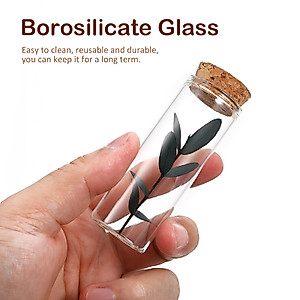 Baluue 10 pcs Glass Test Tubes, 30x80 mm Clear Borosilicate Glass Test Tubes with Cork Stoppers Good Seal for Fluids Container for Lab Use Candy Dried Flowers Storage Tubes