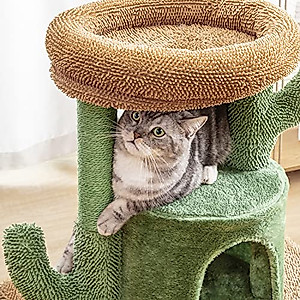 Kilodor Cat Tree for Indoor Cats, 24.5inchs Cactus Cat Tower with Large Padded Top Perch, Kitten Condo House, Cat Scratching Post Small