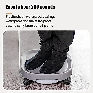 RUDINO,Plant Caddy,Rolling Plant Stand,Plant Dolly with Wheels,Plant Caddy with Wheels Heavy Duty,Square Flower Pot Mover with 4 Wheels with Brake Wheels,with Drawer Water Reservoir,for Planters