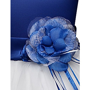 NNJXD Girl Tutu Flower Petals Bow Bridal Dress for Toddler Girl Size 9-12 Months Blue 1