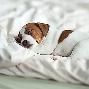 Linen Market Duvet Cover Set, Rugged Stripes Light Gray, King/California King