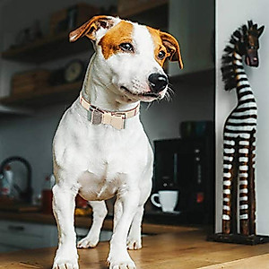 EXPAWLORER Dog Collar and Leash Set - Classic Plaid Dog Bow Tie and Dog Bandana Collar with Bell, Dog Leash Tangle Free, Adjustable Collars for Small Medium Large Dogs Cats, Holiday Ideal Gift