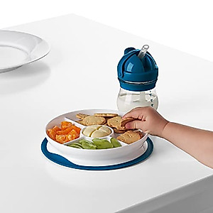 OXO Tot Stick & Stay Suction Divided Plate - Navy