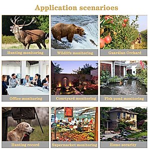 GoldPaddy Trail Game Camera 4K 20MP, Hunting Camera with Night Vision Motion Activated Waterproof Camera 0.2s Trigger Time Scouting Cam 2.4” LCD IR LEDs 120° Wide Angle for Wildlife Home Monitoring