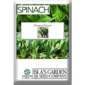 "Perpetual" Spinach Seeds for Planting, 300+ Heirloom Seeds Per Packet, (Isla's Garden Seeds), Non GMO Seeds, Botanical Name: Beta vulgaris subsp. vulgaris, Great Home Garden Gift