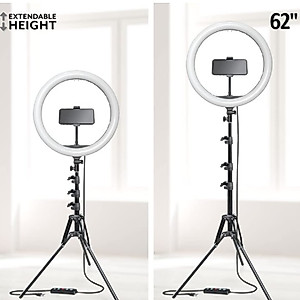 Content Creators kit | Ring Light RBG Color Change + Green Screen | Bonus Phone Mount Included