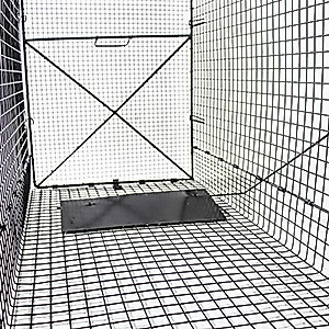 Humane Way Folding 50 Inch Live Humane Animal Trap - Safe Traps for All Animals - Dogs, Raccoons, Cats, Groundhogs, Opossums, Coyote, Bobcat - 50"x20"x26"