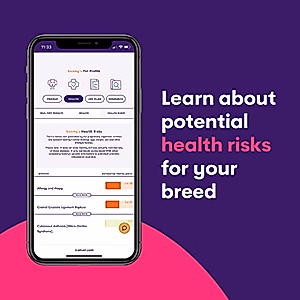 Orivet Genopet Dog DNA Test | Dog Breed Test Kit, Genetic Testing, Heritable Health Risks and Life Plan