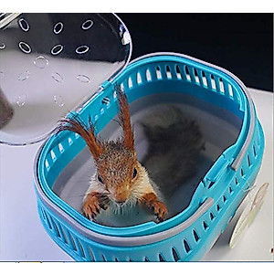 Misyue Big Hamster Cage Portable Carrier Hamster Carry Case Cage (Blue Green Color May ramdom)