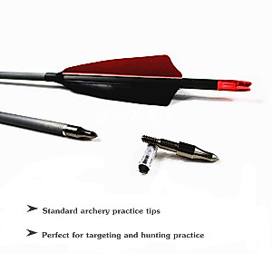 Letszhu Carbon Archery Arrows 500 Spine with Real Feathers for Compound Recurve Bow (12 Pack) (31 Inch Arrows)