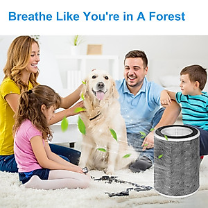 1PACK HP202 Filter Replacement Compatible with shark HP201,HP202,HP301,HP302,HC501,HC502 Air Purifier Filter,HC501 Replacement Filter Parts coding Part HE2FKBASMB, HE2FKBAS, HE2FKPET, HE2FKPRO(1PACK)