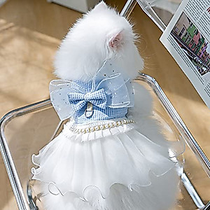 Cat Dress Harness with D Ring Summer Princess Style Seersucker Mesh Skirt Bow Dress for Small Medium Dogs Cats Girl Chihuahua Yorkie Teddy Pet Clothes (X-Large)