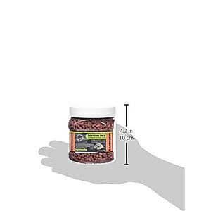 Komodo Complete Holistic Tortoise Diet, Dandelion, Tube,170 g