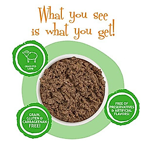 Weruva Cats in The Kitchen, Lamb Burger-ini with Lamb Au Jus Cat Food, 3.2oz Can (Pack of 24)