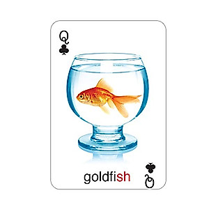 Super Duper Publications | Tiny Talk Articulation and Language SH Sound Photo Flash Cards | Educational Resource for Children