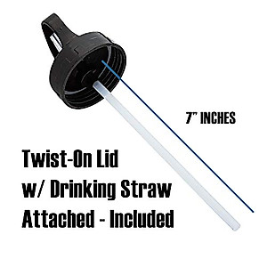 Zero Degree Stainless Steel Water Bottle with Straw and Leak Proof Lid, Vacuum Insulated Double Wall Sport Bottle Keeps Drinks Cold for 12 Hours (18oz Blue)