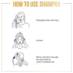 Pantene Shampoo with Frizz Control, Smooth & Sleek, Safe for Color-Treated Hair, 355 mL