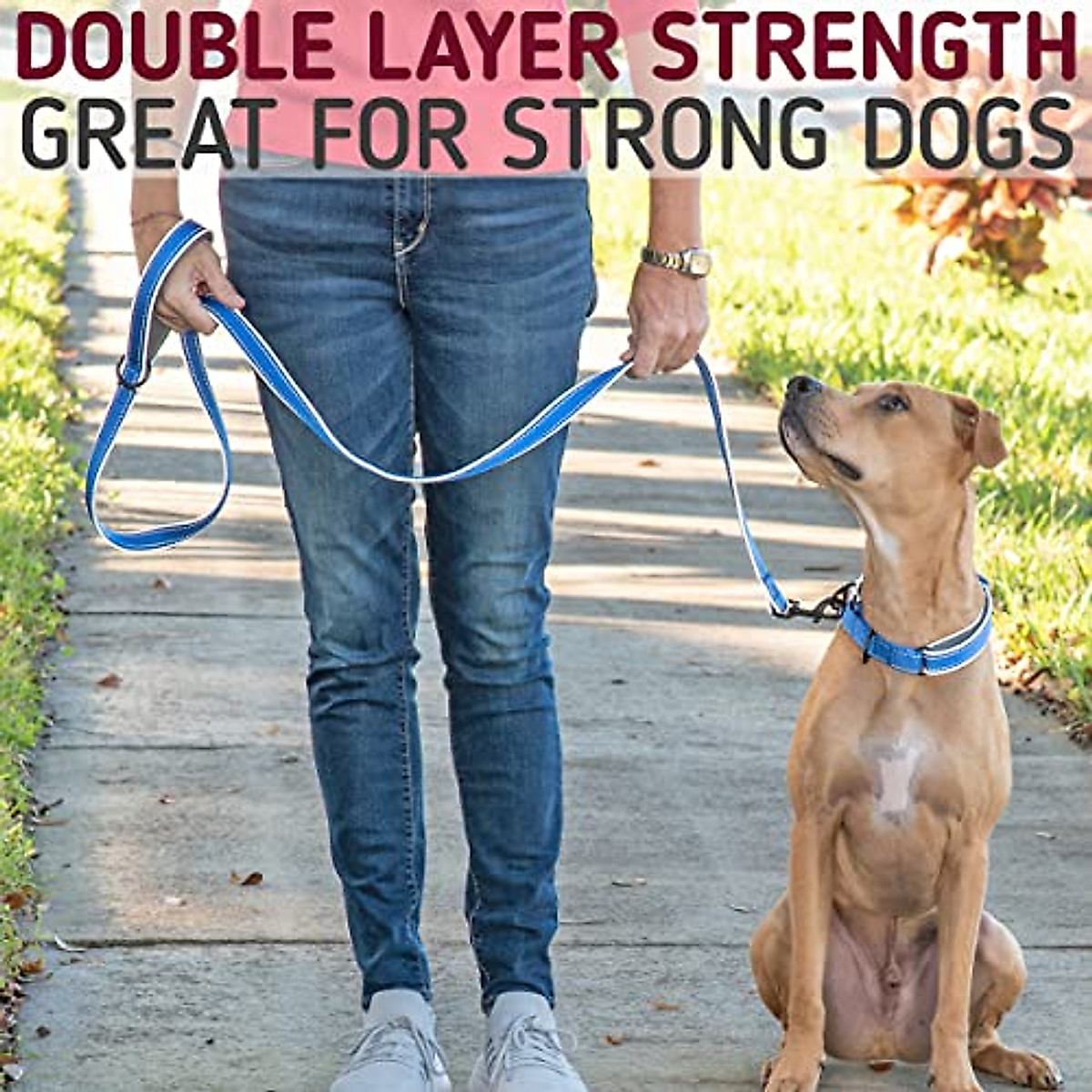 Leashboss Reflective Martingale Collar and 6 Ft Leash with Padded Handle, Medium Collar 14.5-17" Neck, Blue