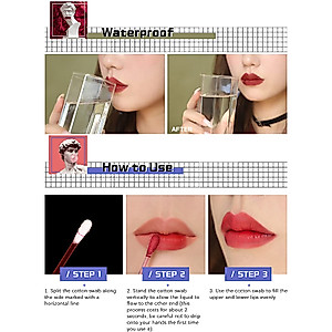 PASNOWFU 20 Pcs/Set of Tattoo Lipstick, Cotton Swab Lipstick, Tattoo Lip Stain Tattoo Lipstick Cotton Swab, Durable Waterproof Liquid Non-Stick Lipstick, Easy to Carry(Color : Orange red)