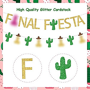 Fiesta Bachelorette Party Banner, Funny Cactus Garland for Mexican Bridal Shower Decorations, Cactus Engagement, Wedding Supplies