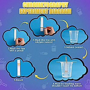 Paper Chromatography Experiment Kit With Lab Instructions - DIY Science Experiment For Home, School, Lab - Kit Includes 50-Sheet Filter Paper, Beaker, Dowel, Clips, Pens, Pencil, Detailed Instructions