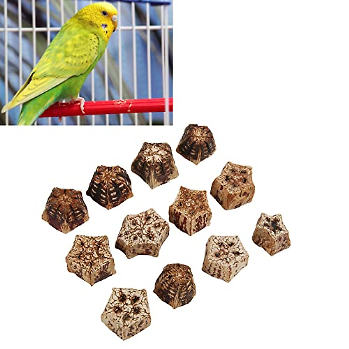 Pssopp Bird Chewing Blocks Toy,Decorative Dried Nut Wood Bird Block Toys Decorative Five Pointed Bird Toy for Bird Supplies Hamsters Totoros Rabbits
