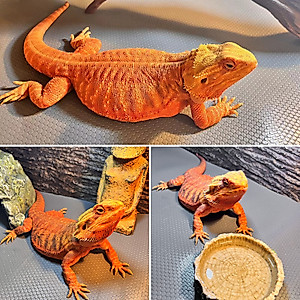 Reptile Carpet, Bearded Dragon Tank Accessories, Terrarium Liner Bedding, Non-Adhesive Reptile Substrate Mat for Bearded Dragon, Leopard Gecko, Snake, Lizard, Tortoise, Iguana Reptile Tank(18x36")