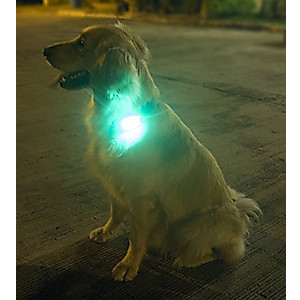 LED Safety Light (2 Pack) - Clip On Strobe/Running Lights for Runners, Dog, Bike, Walking, Boat, Kayak, Stroller and More - High Visibility Accessories for Your Reflective Gear, Bicycle, Green