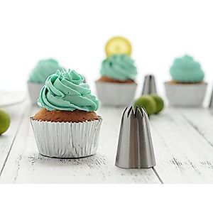 BeBeFun Piping Tips Large Icing Tips Cake Decorating Large Piping Tips Set Cupcake Frosting Piping Kit Extra Large Size In Set.
