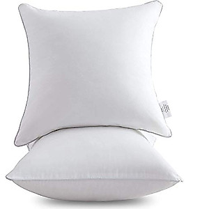 Leeden 20 x 20 Pillow Inserts (Set of 2) - Throw Pillow Inserts with 100% Cotton Cover - 20 Inch Square Interior Sofa Pillow Inserts - Decorative Pillow Insert Pair - White Couch Pillow