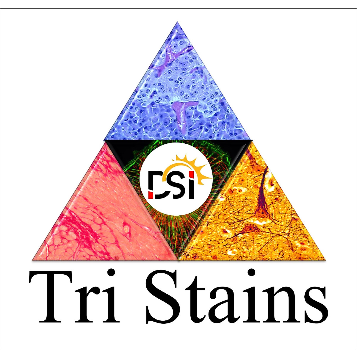 Lactophenol Cotton Blue 15mL Dropper Bottle