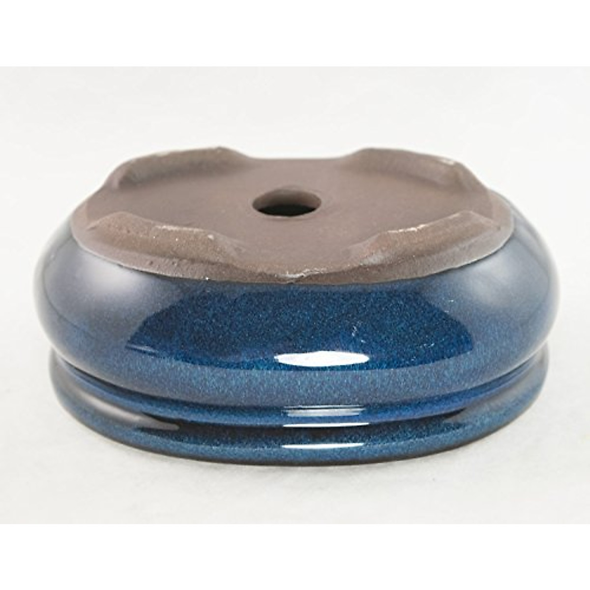 Oval Mame Shohin Bonsai/Cactus & Succulent Pot + Mesh 5"x 4"x 2" - Dark Blue Glazed