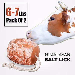 Himalayan Salt Lick 4-5 lbs | Pack of 2 | Salt Lick Deer | Deer Salt Lick Block | Licking Salt for Horses | Salt Block on Rope | Horse Treats.