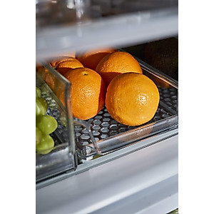 Spectrum Diversified Hexa in-Fridge Small Refrigerator Bin for Storage and Organization of Fruit Vegetables Produce and More, 15 x 6.25 x 2.25, Clear/Dark Gray