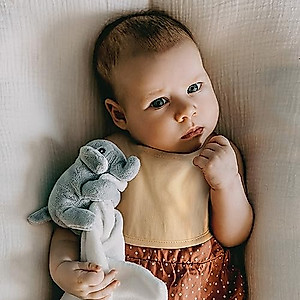 Baby Snap Bibs for Boys Girls,10 Pack Bandana Drool Bibs with Snap,Organic Cotton Snap Closure Bibs for Newborn