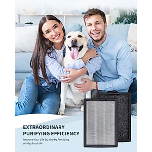 DeedMo Air Purifier Replacement Filter, Compatible with AP-1273, 3-in-1 True HEPA, Eliminate Smoke, Cooking Odor and Dust, 2 Pack