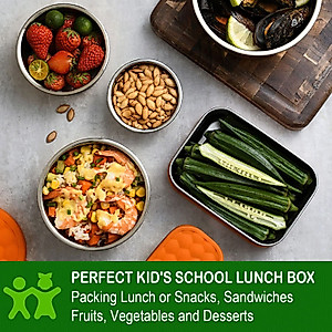 AORAKI Stainless Steel Containers with Lids, Lunch Box Container with Leak Resistant Silicone Lid, Food Storage Bento Box for Snacks, Sandwiches, Fruits, Vegetables, 25oz