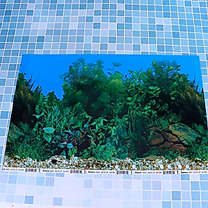 balacoo Fish Tank Background Fish Tank 10 Gallon Aquarium Background Sticker 3D Double- Sided Durable Wallpaper Fish Tank Backdrop Decorative Pictures 3D Aquarium Background 3D Aquarium Background