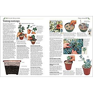 Propagating Plants: How to Create New Plants for Free