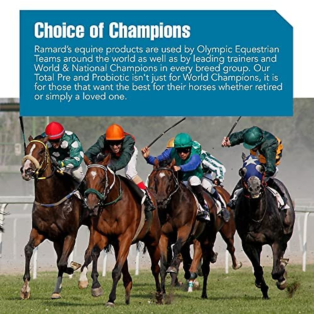 Ramard Total Prebiotic & Probiotic Equine Formula - Natural Ingredients for Foals & Adult Horses, Healthy Gut Flora & Optimal Nutrient Absorption - The Ultimate Digestive Supplement - 8.5 oz Jar