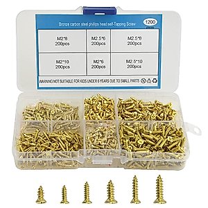XINGYHENG 1200pcs 6 Kinds M2 M2.5 Gold-Plate Carbon Steel Flat Head Self Tapping Screw Stainless Cross Recessed Pan Head Screw Assortment Kit Collected in A Convenient Case