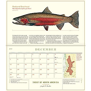 Trout of North America Wall Calendar 2021
