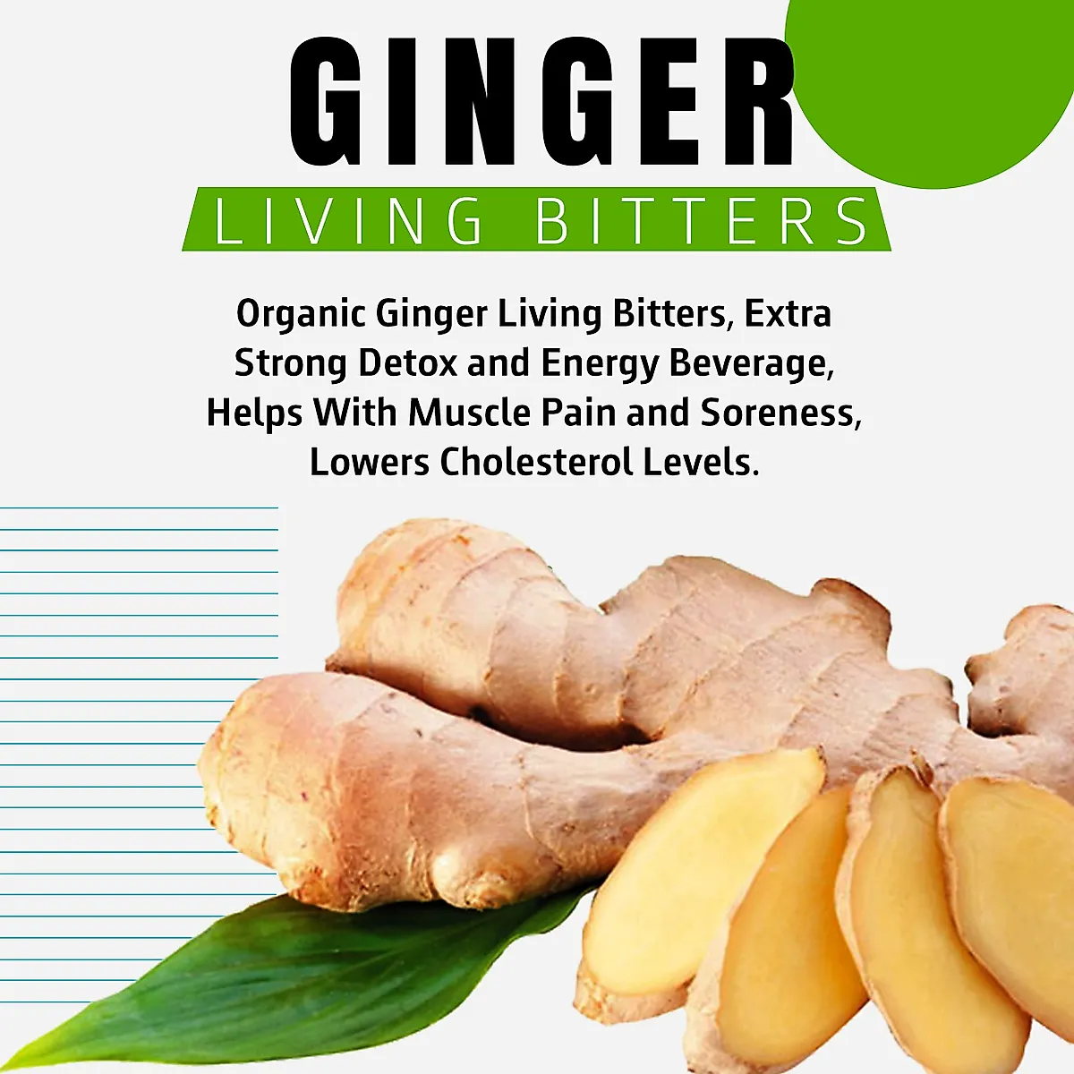 Herboganic Ginger Living Bitters | All Natural Living Bitters | 16 oz